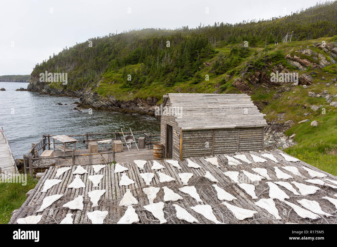 CAPE RANDOM, NEWFOUNDLAND, CANADA - Random Passage movie set, replica ...