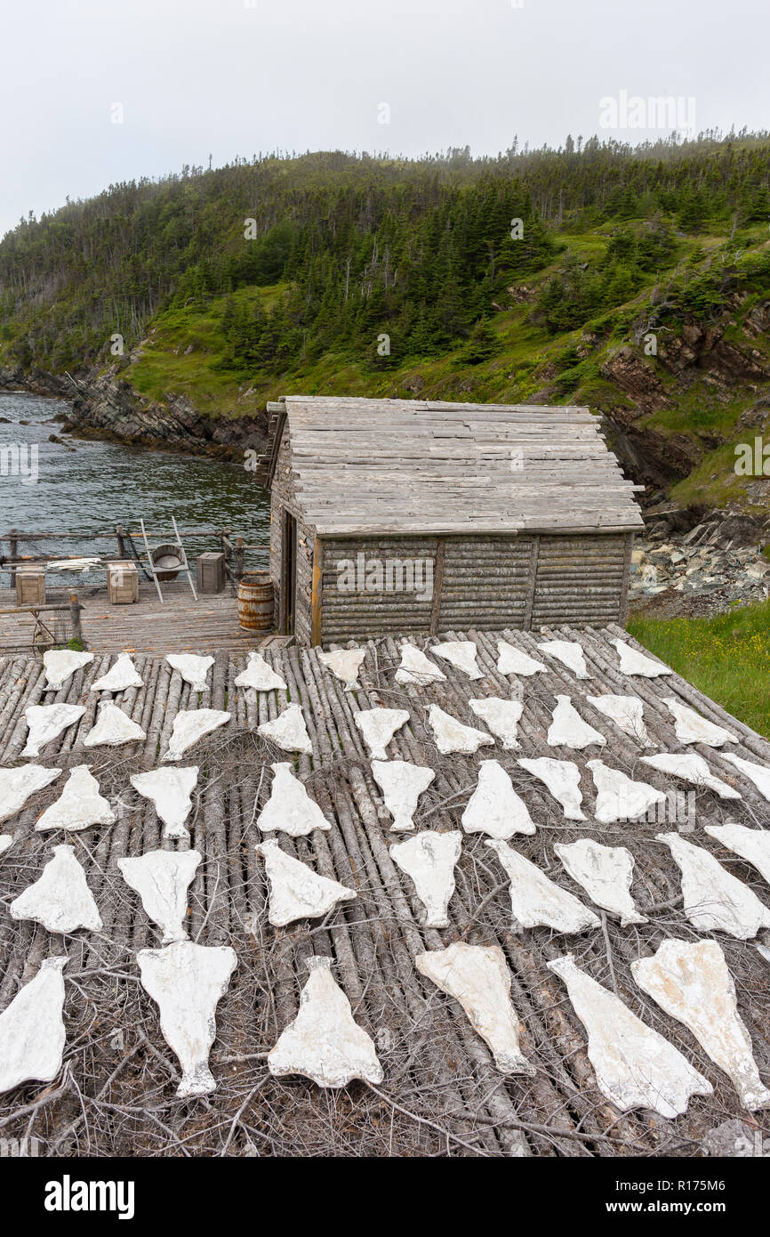 CAPE RANDOM, NEWFOUNDLAND, CANADA - Random Passage movie set, replica ...