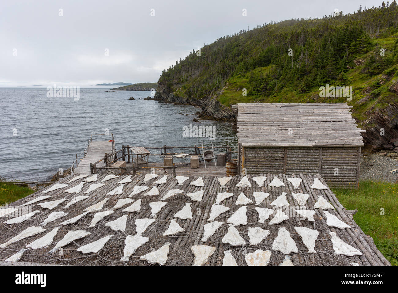 CAPE RANDOM, NEWFOUNDLAND, CANADA - Random Passage movie set, replica ...