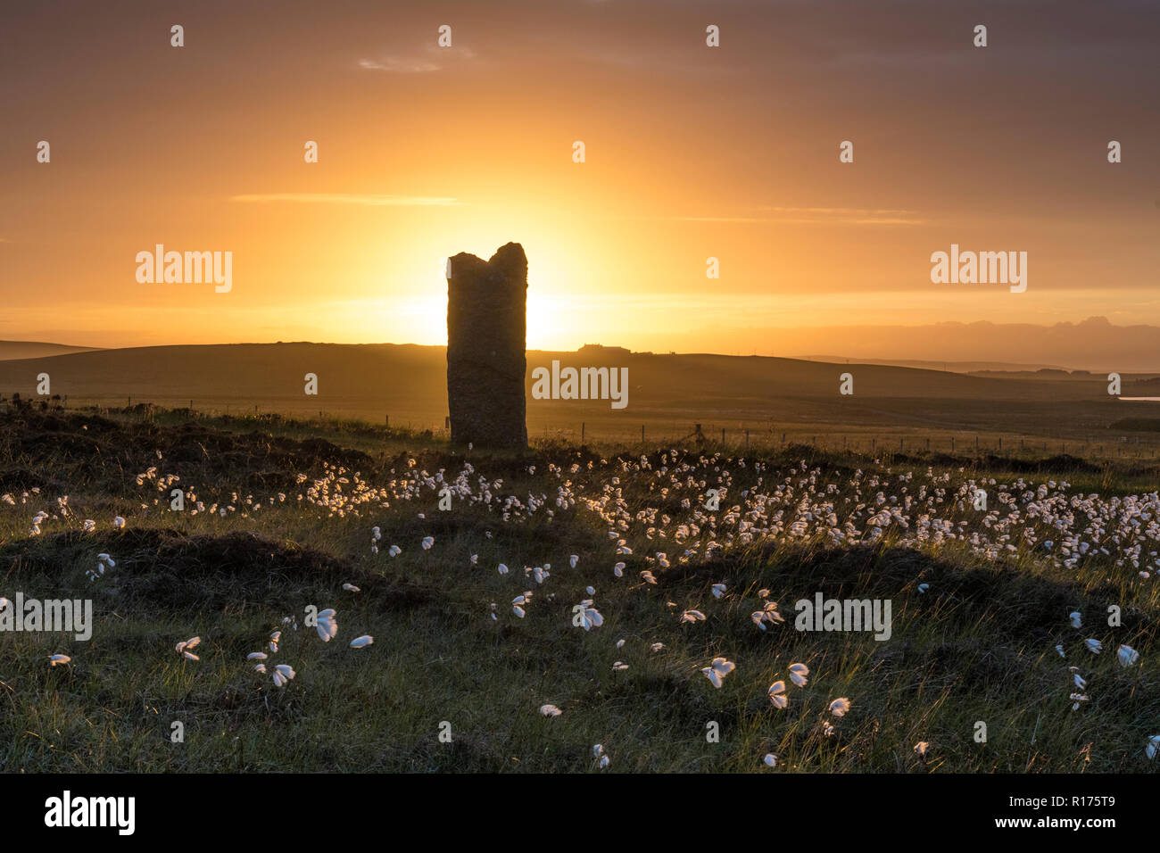 Orkney at Ring of Brodgar neolithic standing stones, stone circle ...