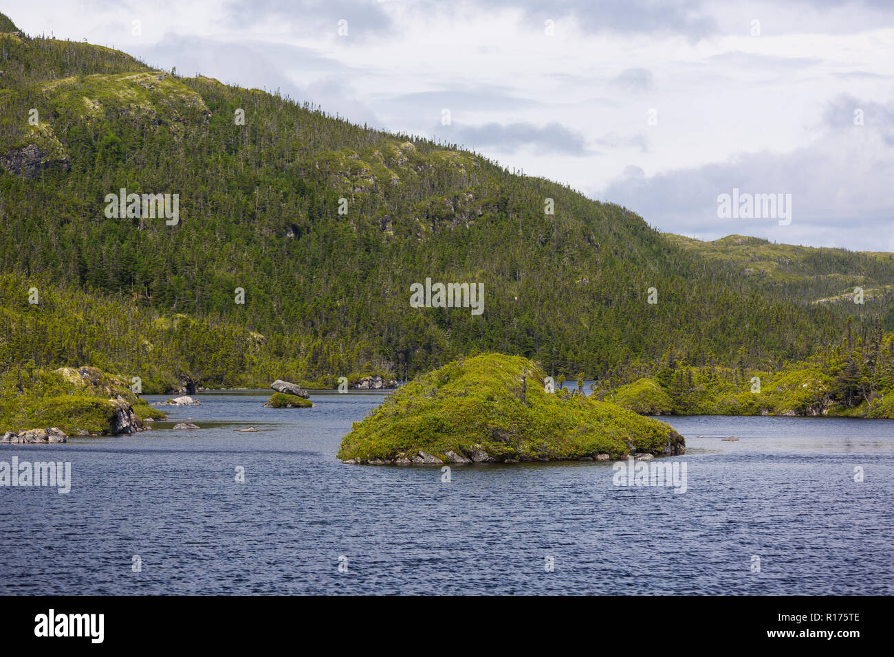 Random hi-res stock photography and images - Alamy