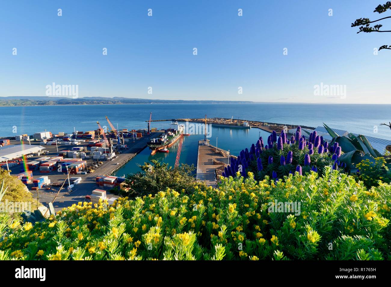 The Port of Napier viewed from Bluff Hill Stock Photo - Alamy
