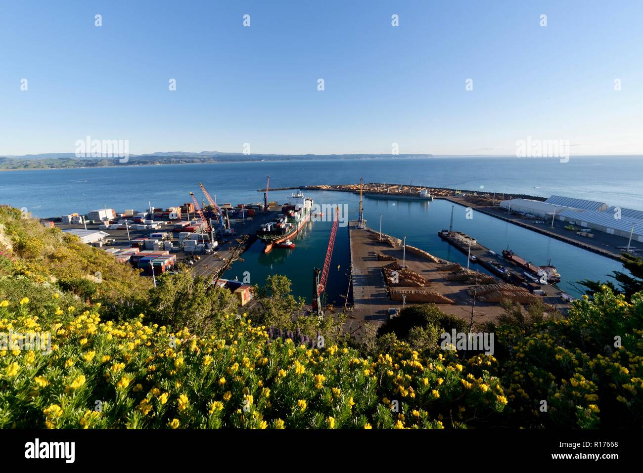 The Port of Napier viewed from Bluff Hill Stock Photo - Alamy