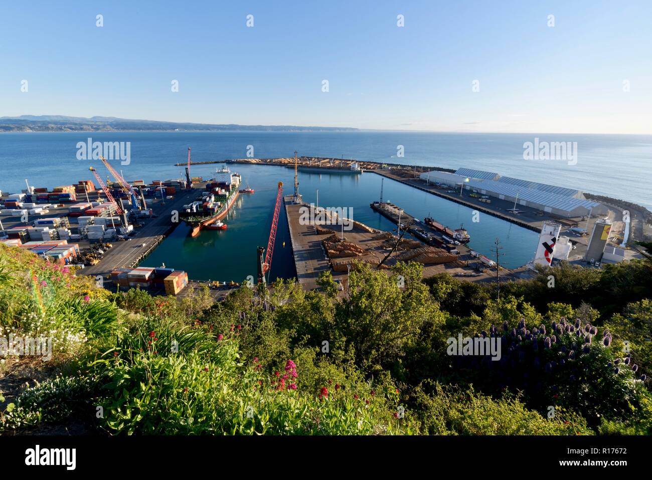 The Port of Napier viewed from Bluff Hill Stock Photo - Alamy