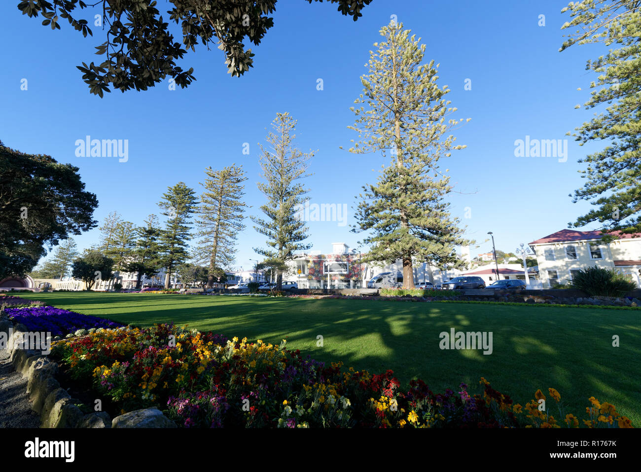 Beachfront domain in the town of Napier, NZ Stock Photo - Alamy