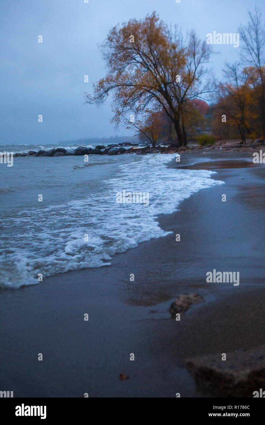 Disturbing beach hi-res stock photography and images - Alamy