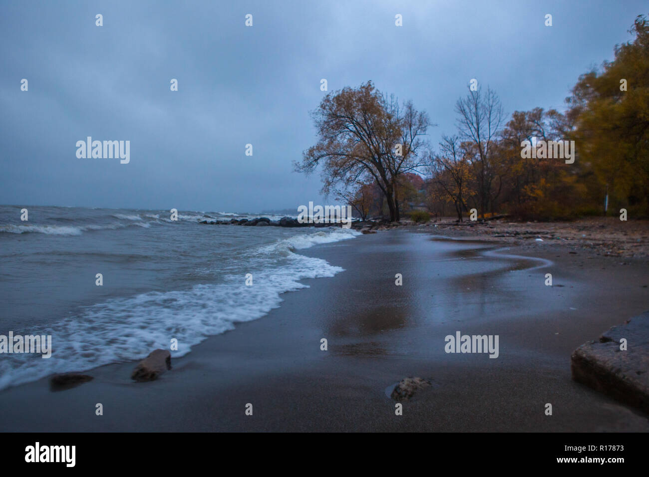 Disturbing beach hi-res stock photography and images - Alamy