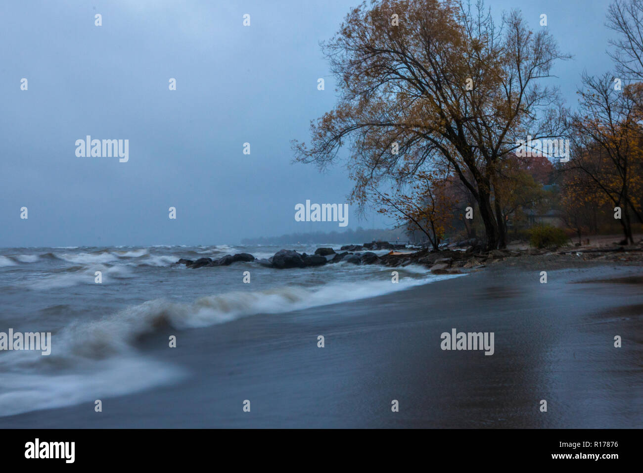 Lonely desolate beach during the stormy weather Stock Photo - Alamy