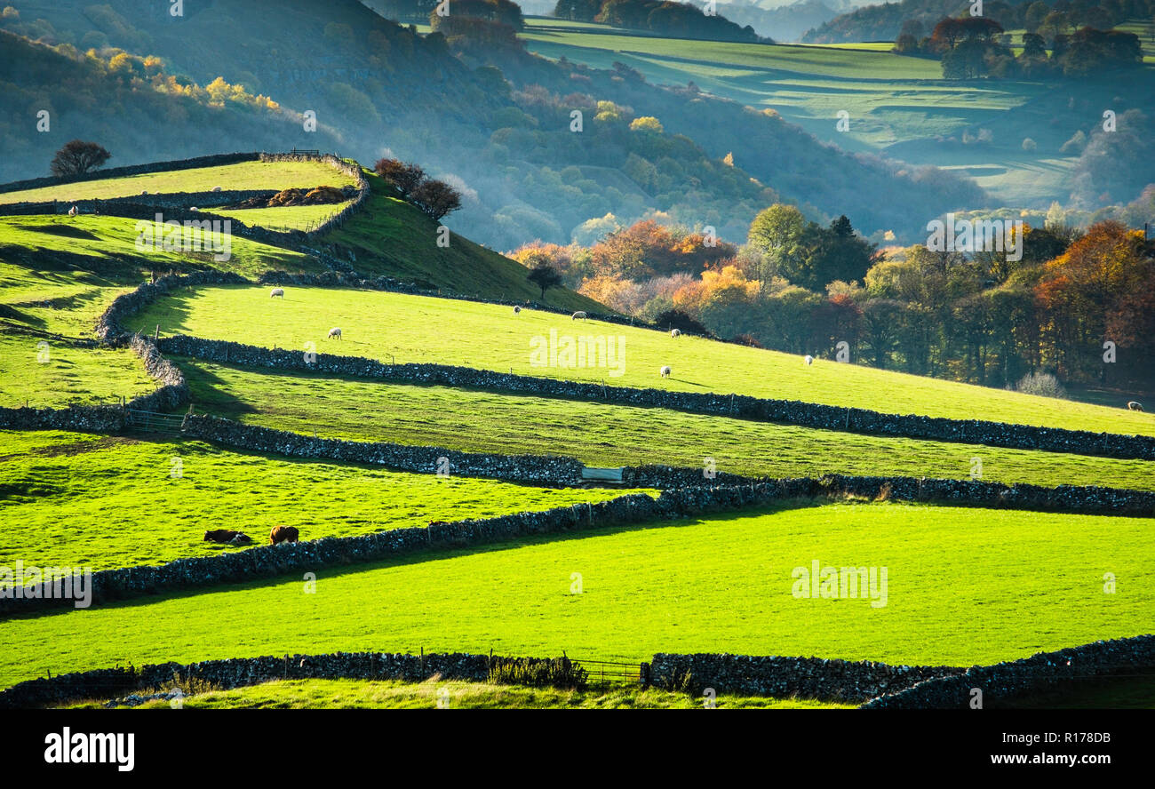 Small fields separated by dry stone walls are a feature of the rolling ...