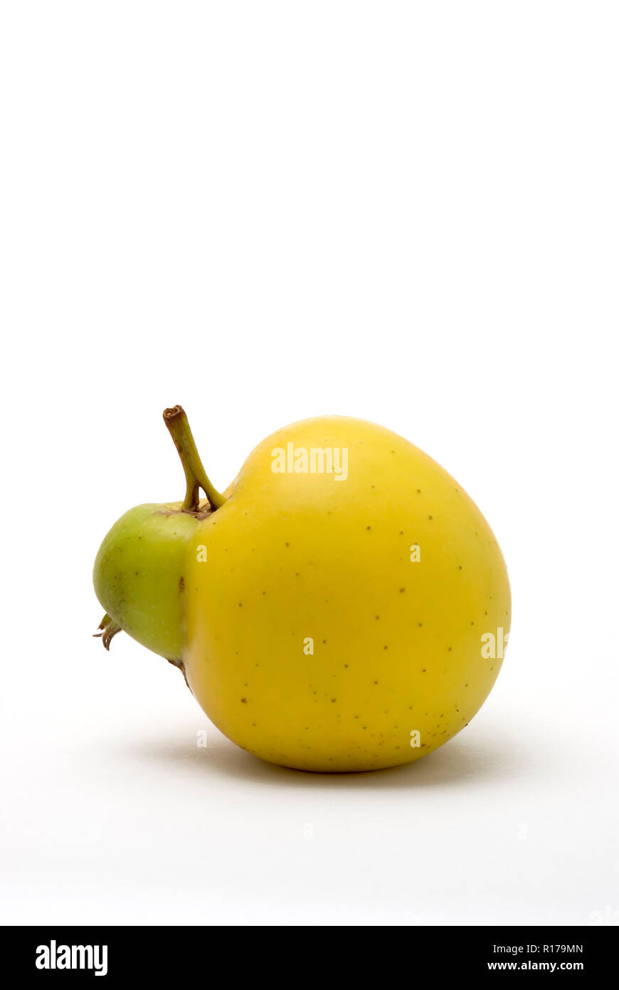 Distorted growth hi-res stock photography and images - Alamy