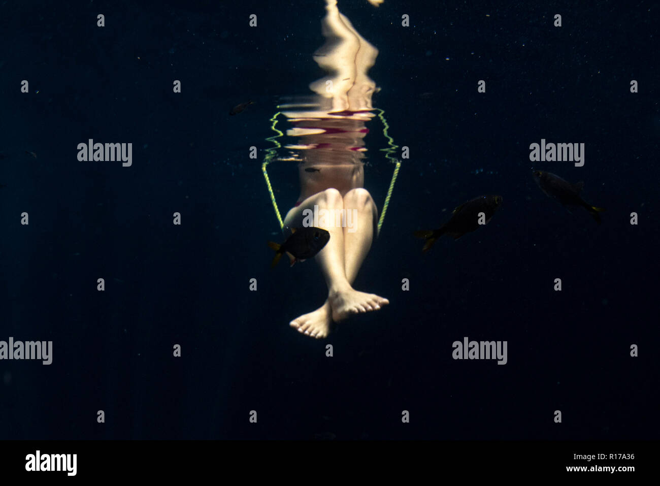 Female woman young fish bikini hi-res stock photography and images - Alamy