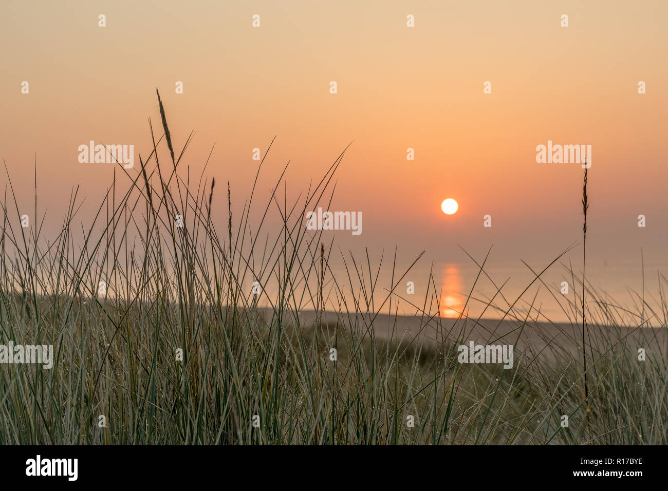 Sun rising over the beach through the sand dunes Stock Photo - Alamy
