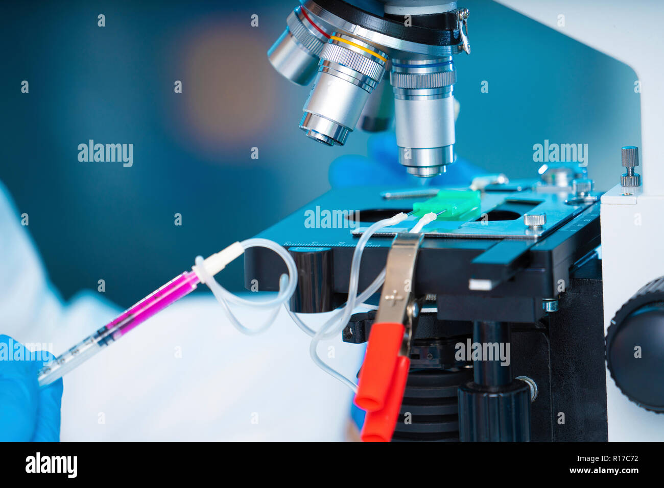 Lab on a chip Stock Photo - Alamy