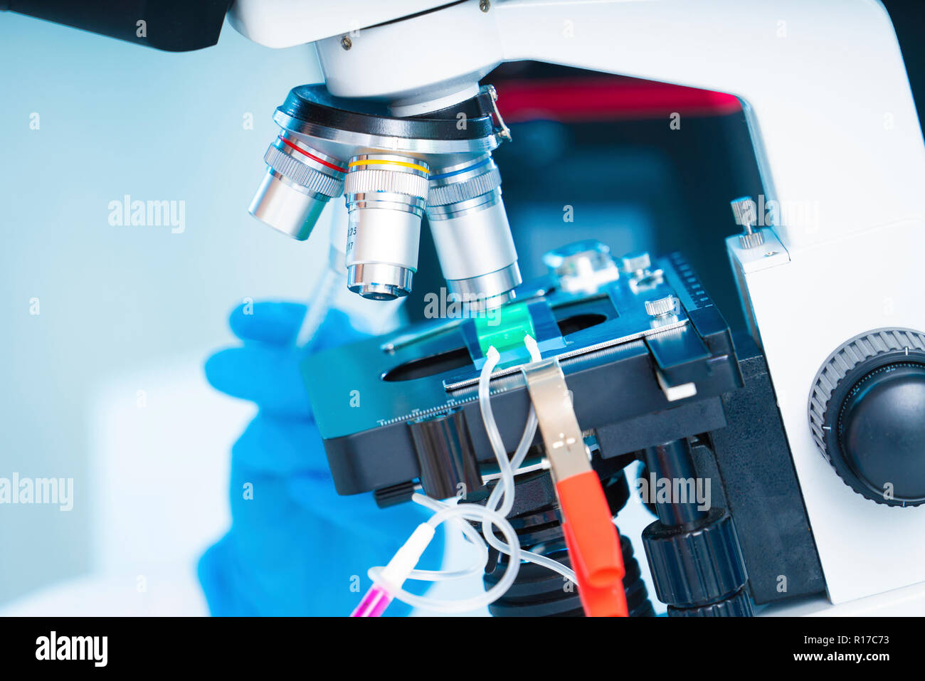 Lab on a chip Stock Photo - Alamy