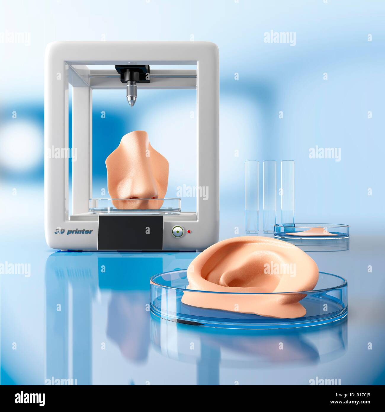 Concept of bioprinting of tissues and organs. Human ear and nose ready ...