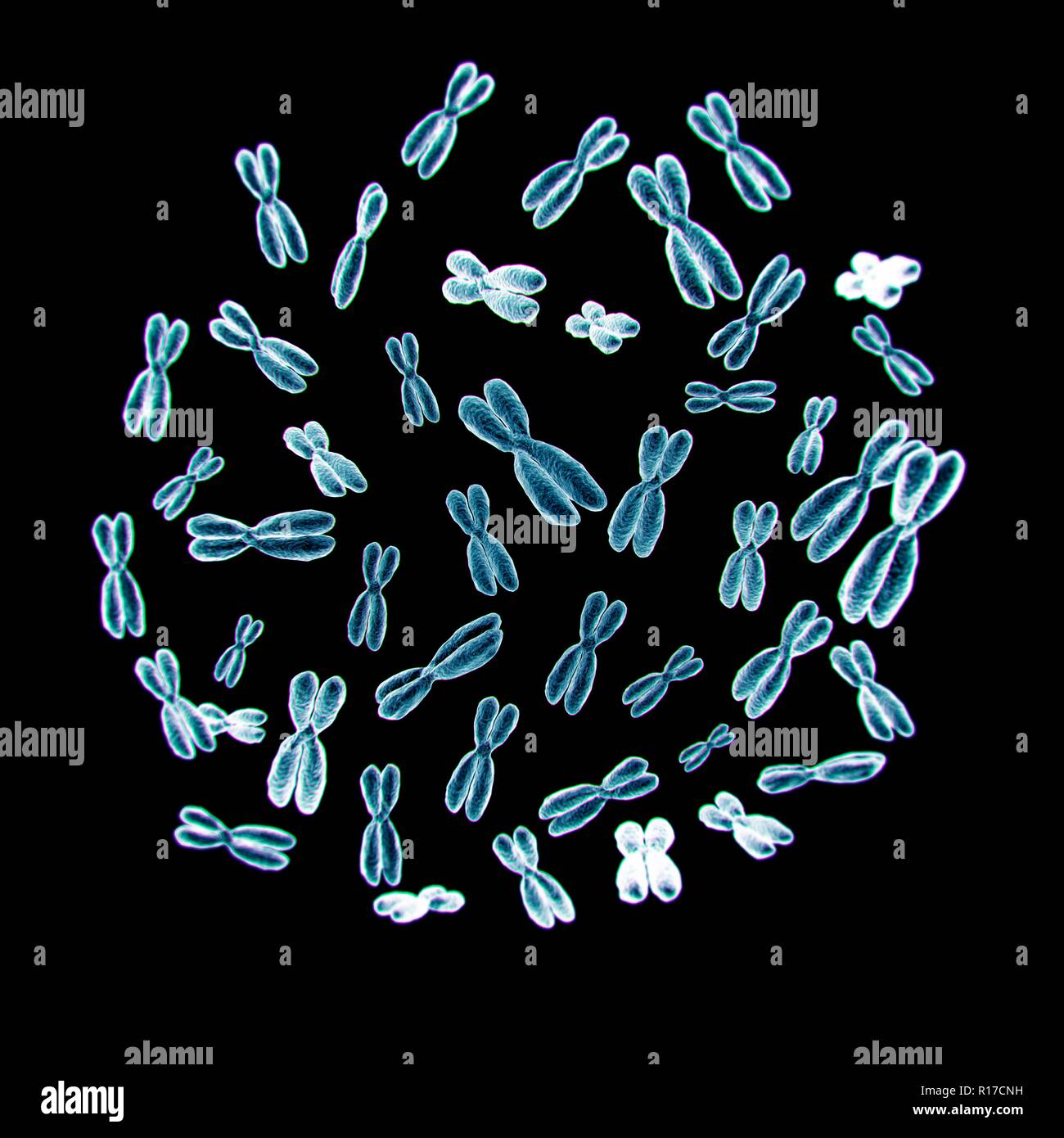 Set of 46 human chromosomes isolated on black background. 3D ...