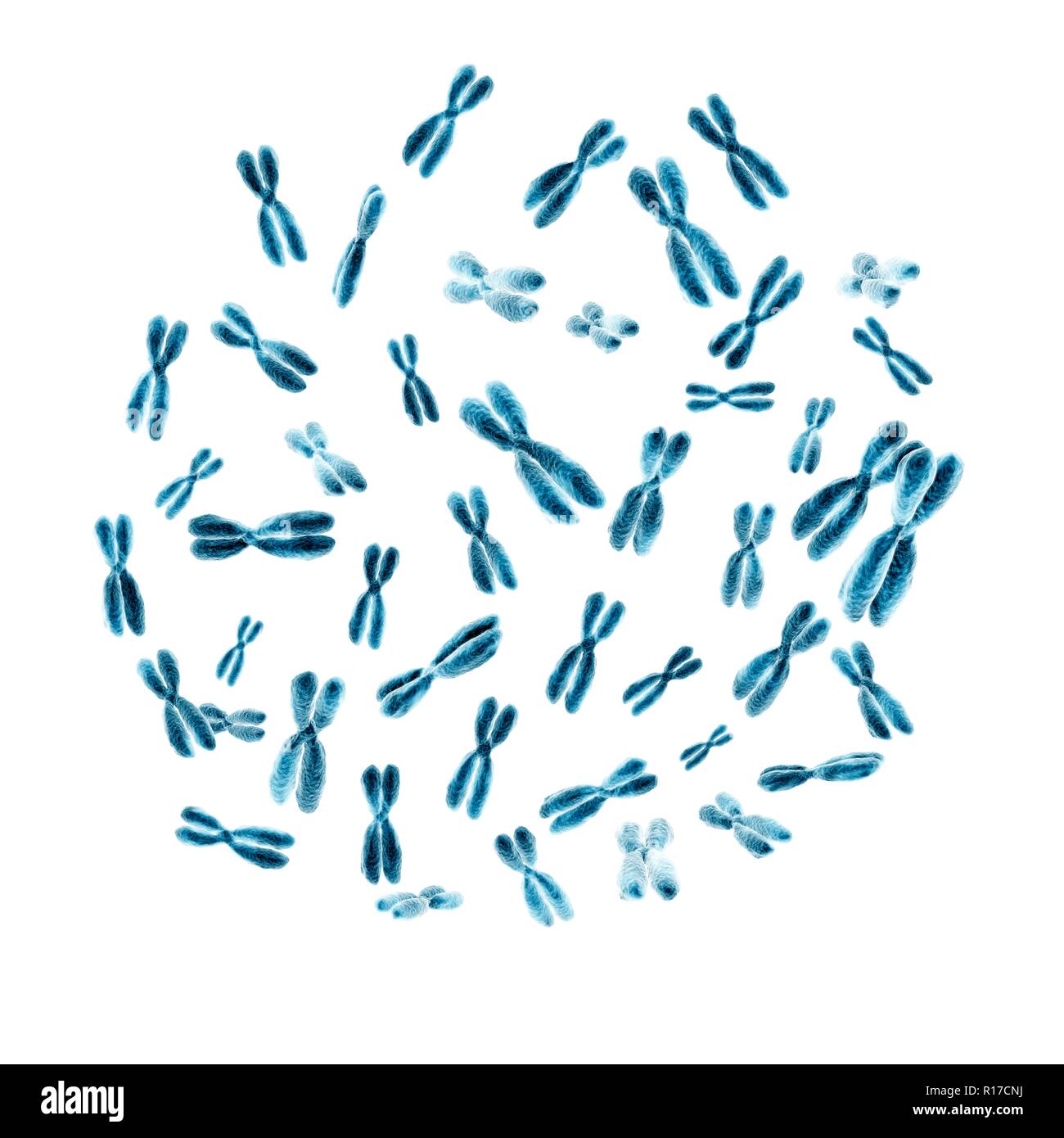 Set of 46 human chromosomes isolated on white background. 3D ...