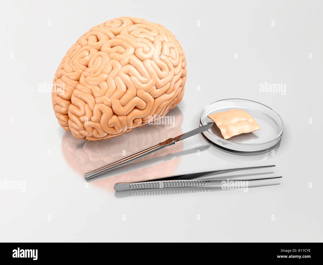 Human brain and surgical instruments on a laboratory table. 3d ...