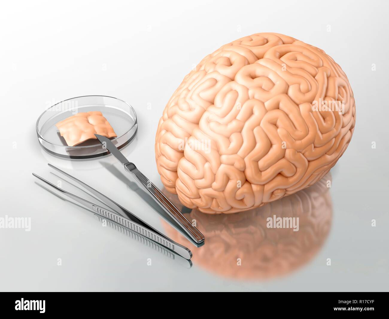 Human brain and surgical instruments on a laboratory table. 3d ...