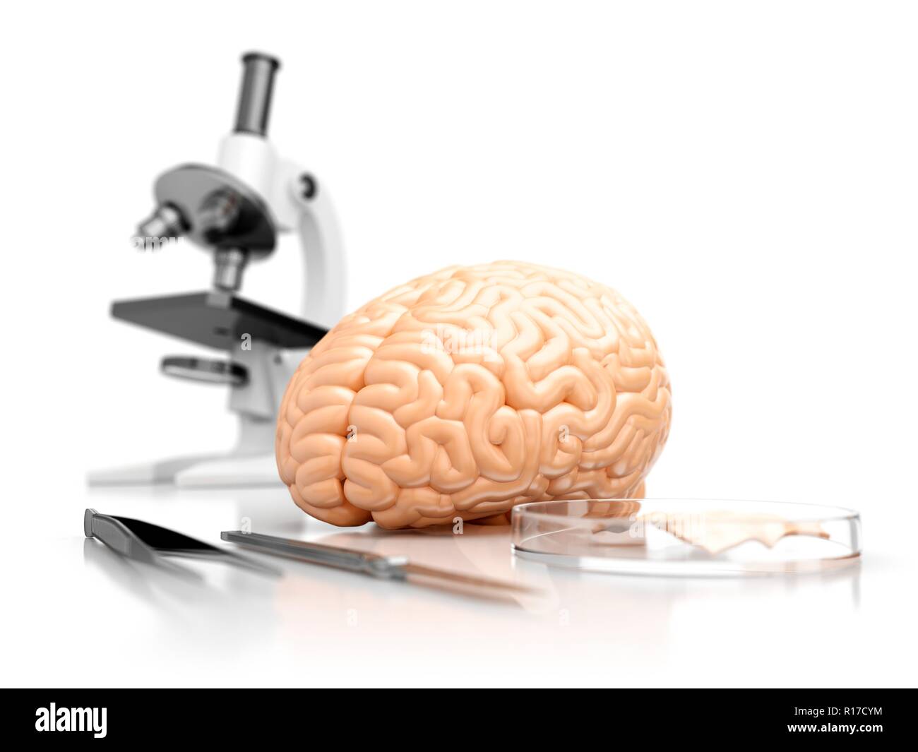 The concept of human brain research, a microscope and surgical ...
