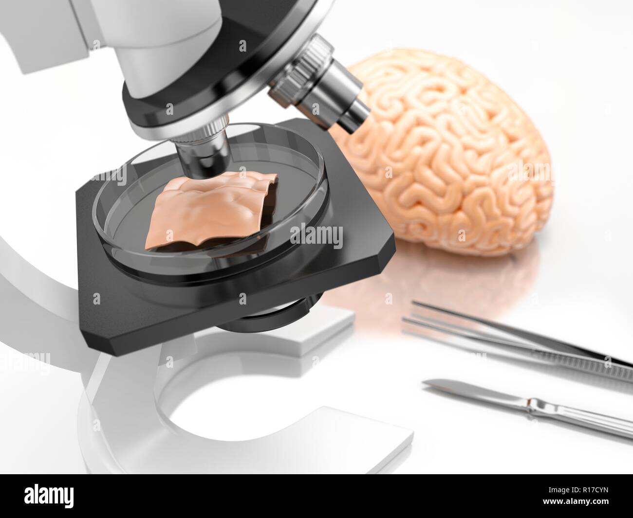 The concept of human brain research, a microscope and surgical ...