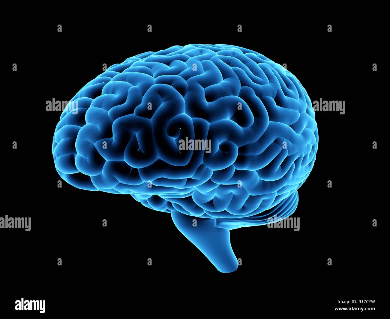 Human brain. 3D illustration Stock Photo - Alamy