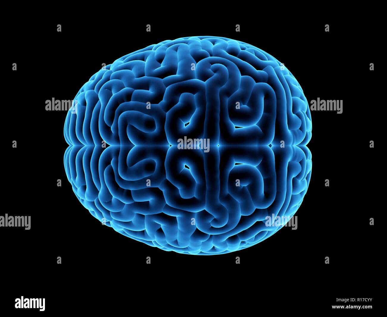 Human brain. 3D illustration Stock Photo - Alamy
