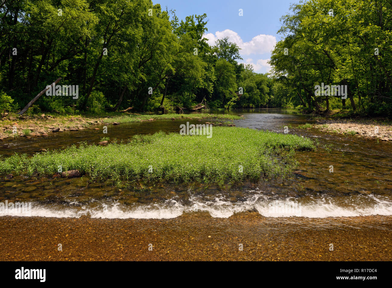 Erbie hi-res stock photography and images - Alamy
