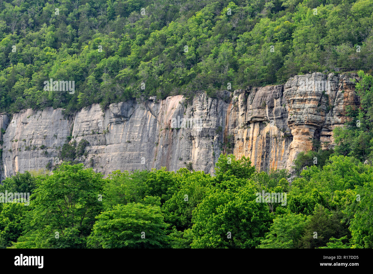 Roarks bluff hi-res stock photography and images - Alamy