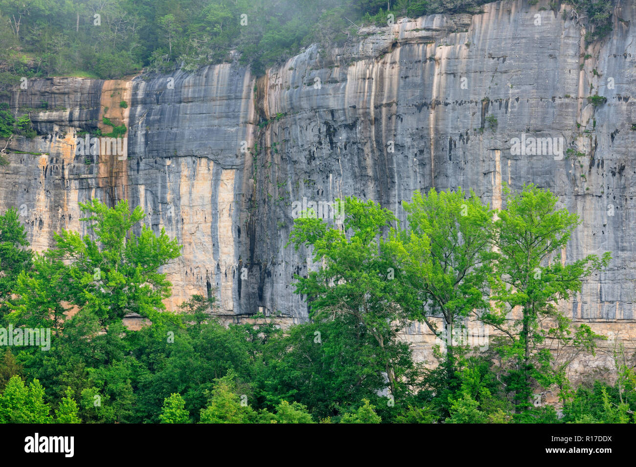 Roark's Bluff in morning fog, Buffalo National River- Steel Creek Unit ...