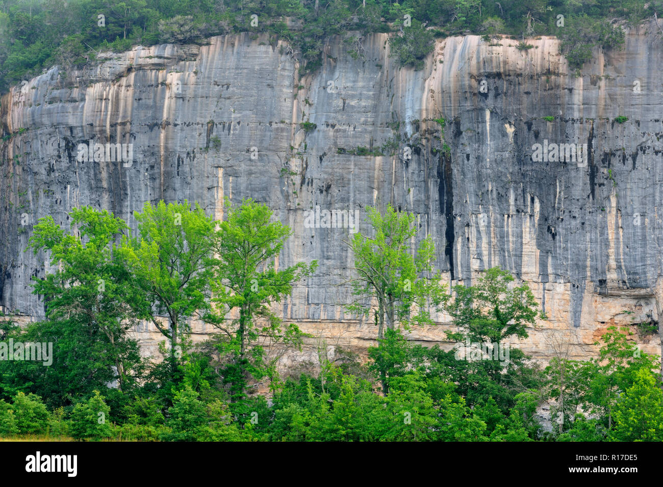 Roarks bluff hi-res stock photography and images - Alamy