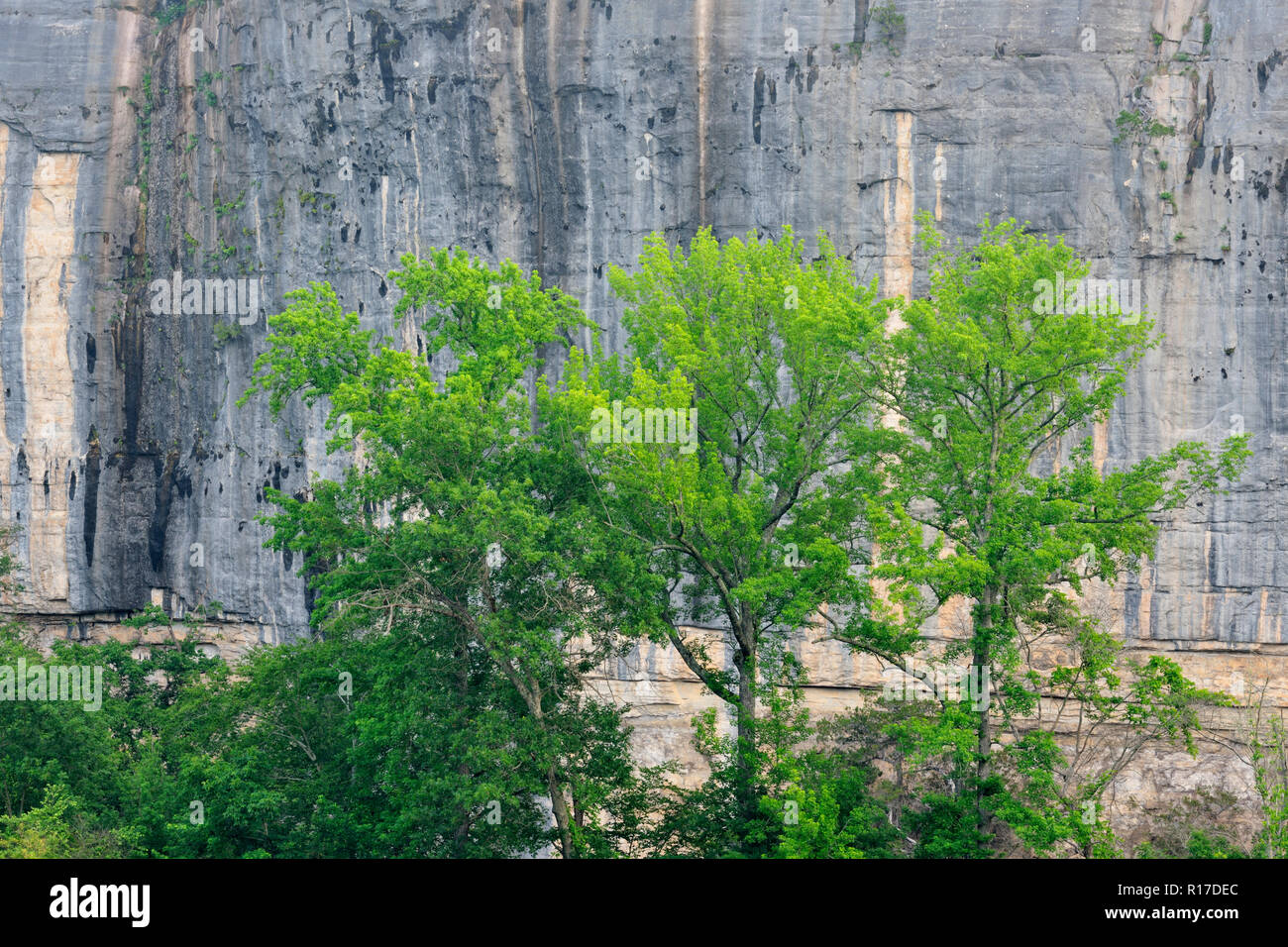 Roarks bluff hi-res stock photography and images - Alamy