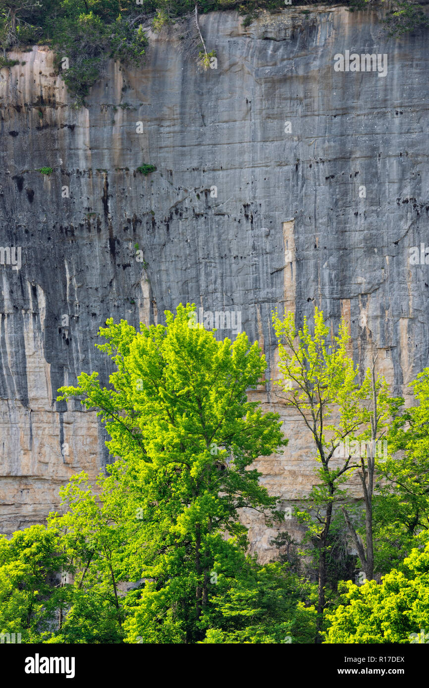 Roarks bluff hi-res stock photography and images - Alamy
