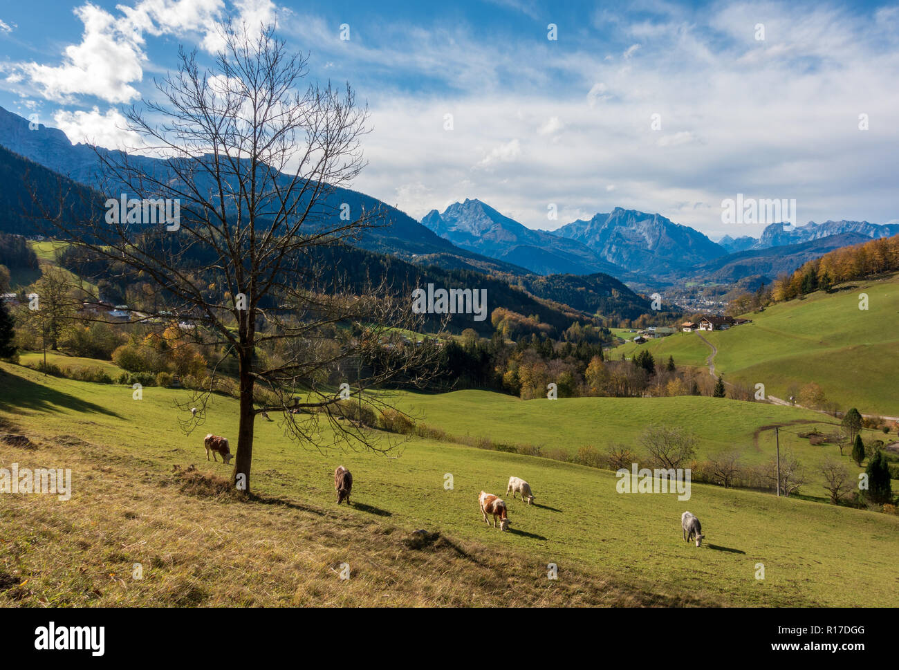 German alps bayerische alpen hi-res stock photography and images - Alamy