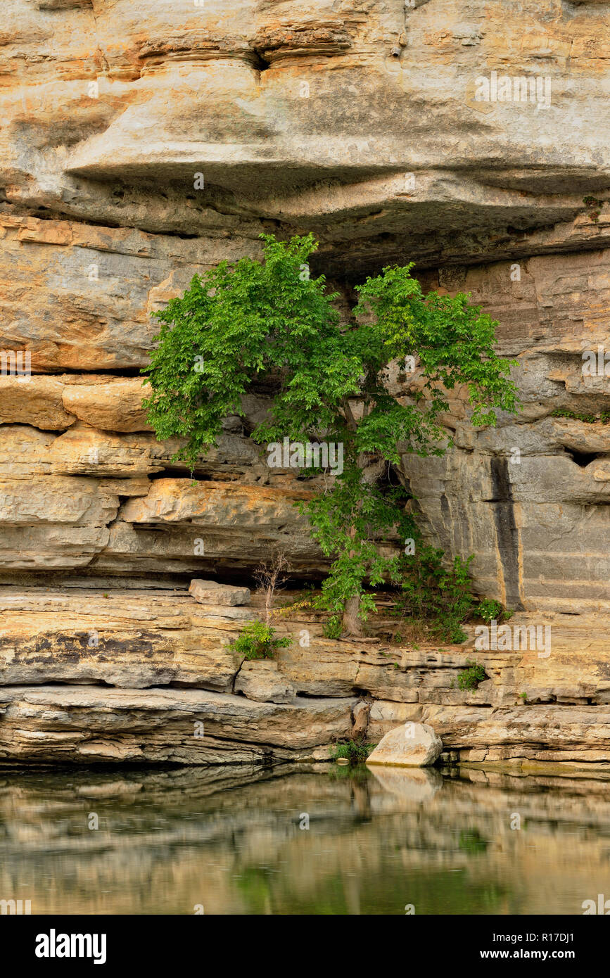 Arkansas scenic view hi-res stock photography and images - Alamy