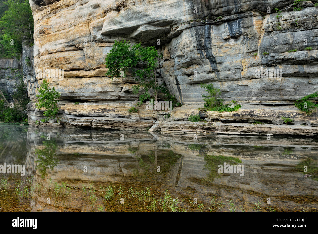 Sandstone bluffs and trees reflected in the Buffalo National River ...