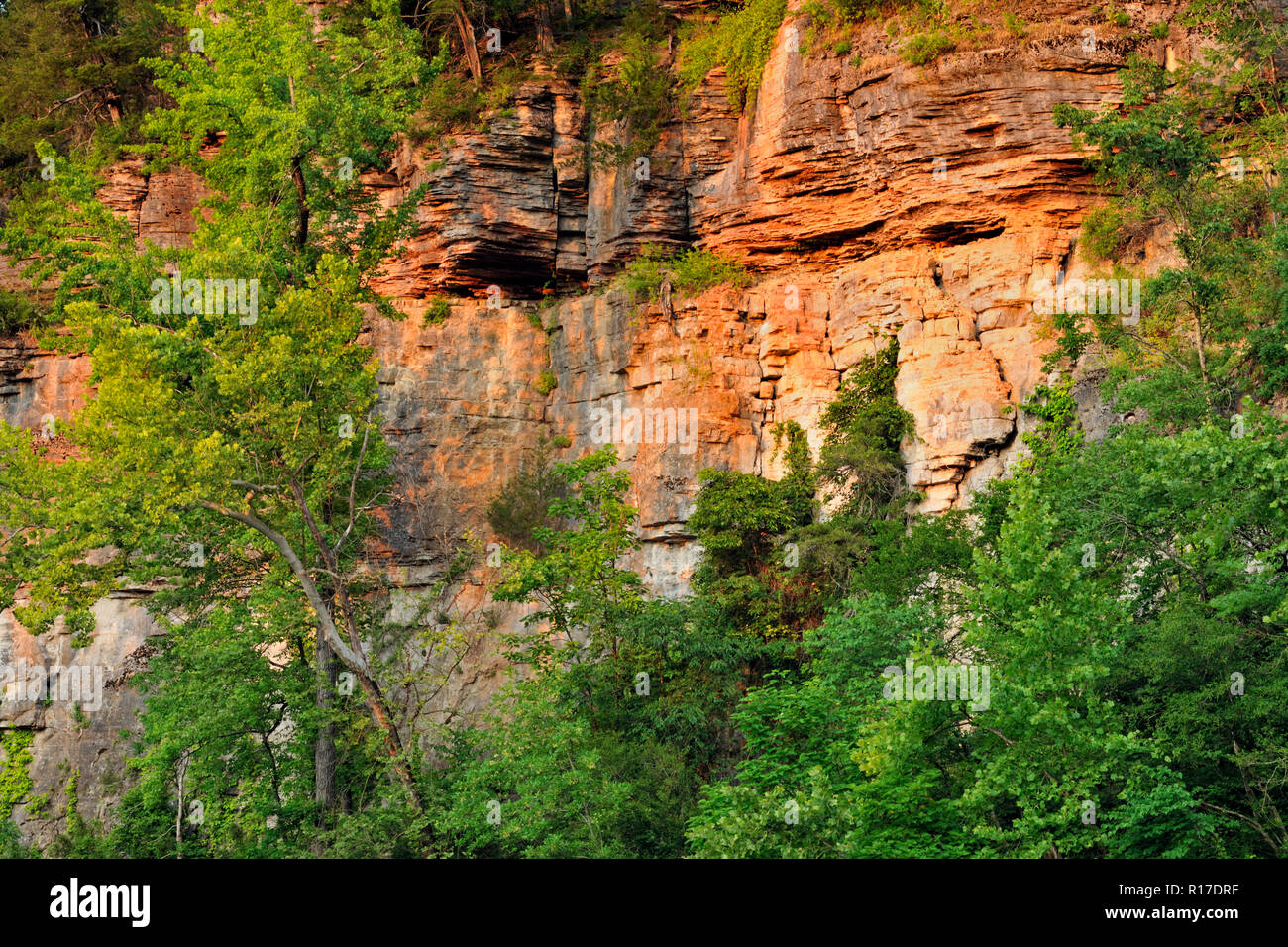 Ozark national forest hi-res stock photography and images - Alamy