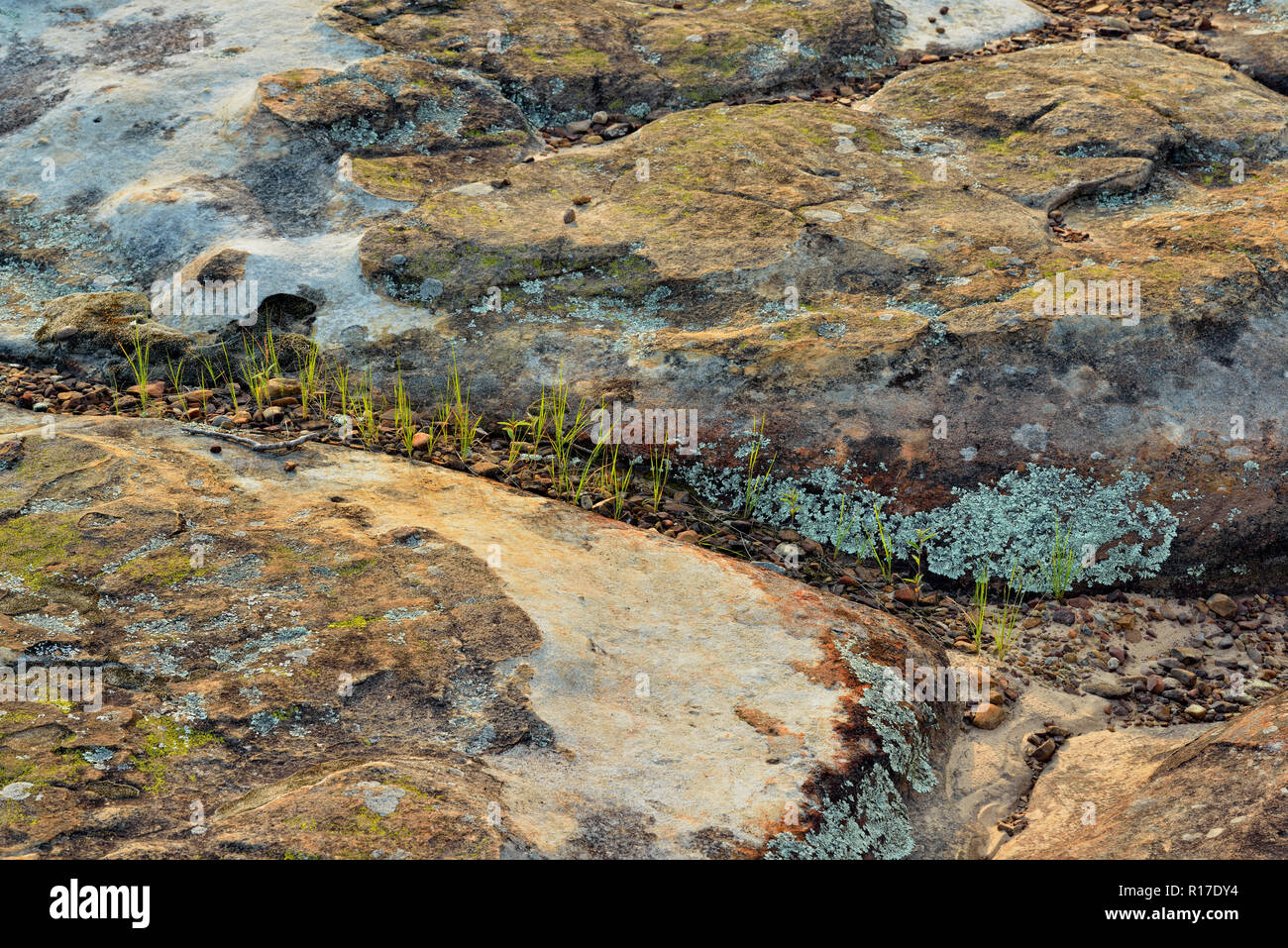 Weathered Hartshorne Sandstone rocks at Rock House Cave- Turtle Rocks ...