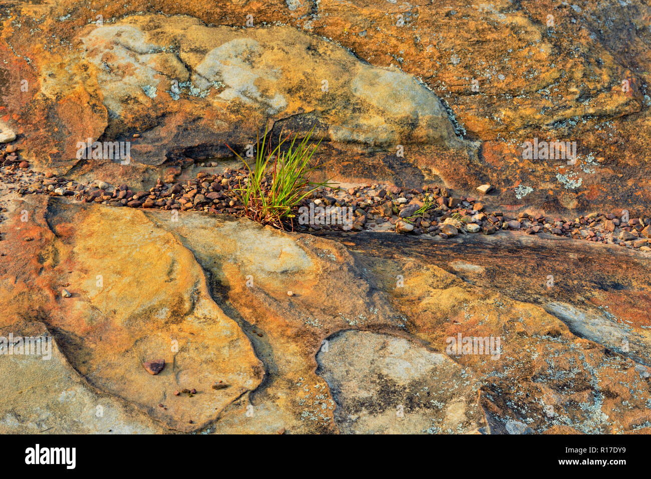 Weathered Hartshorne Sandstone rocks at Rock House Cave- Turtle Rocks ...