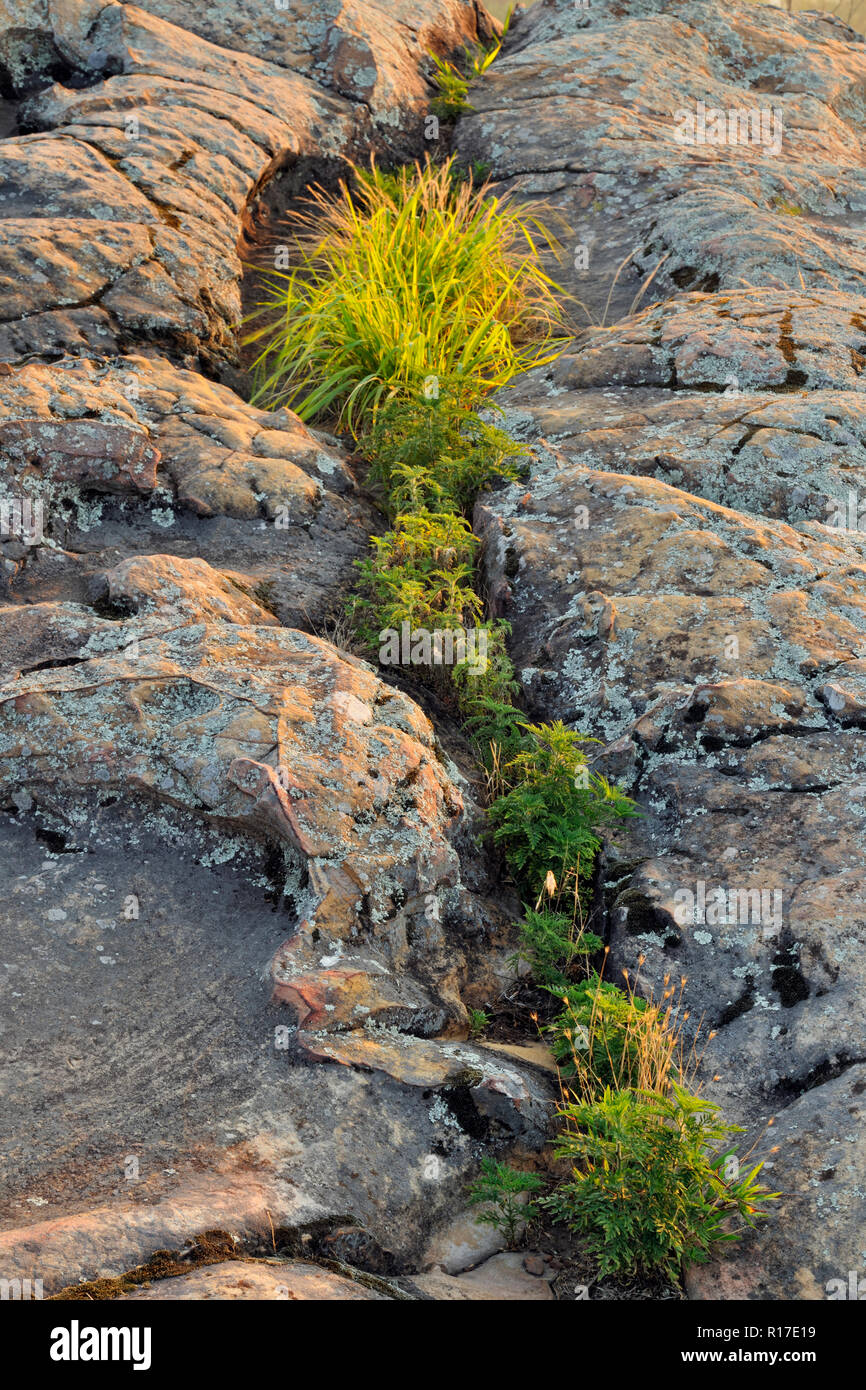 Hartshorne hi-res stock photography and images - Alamy