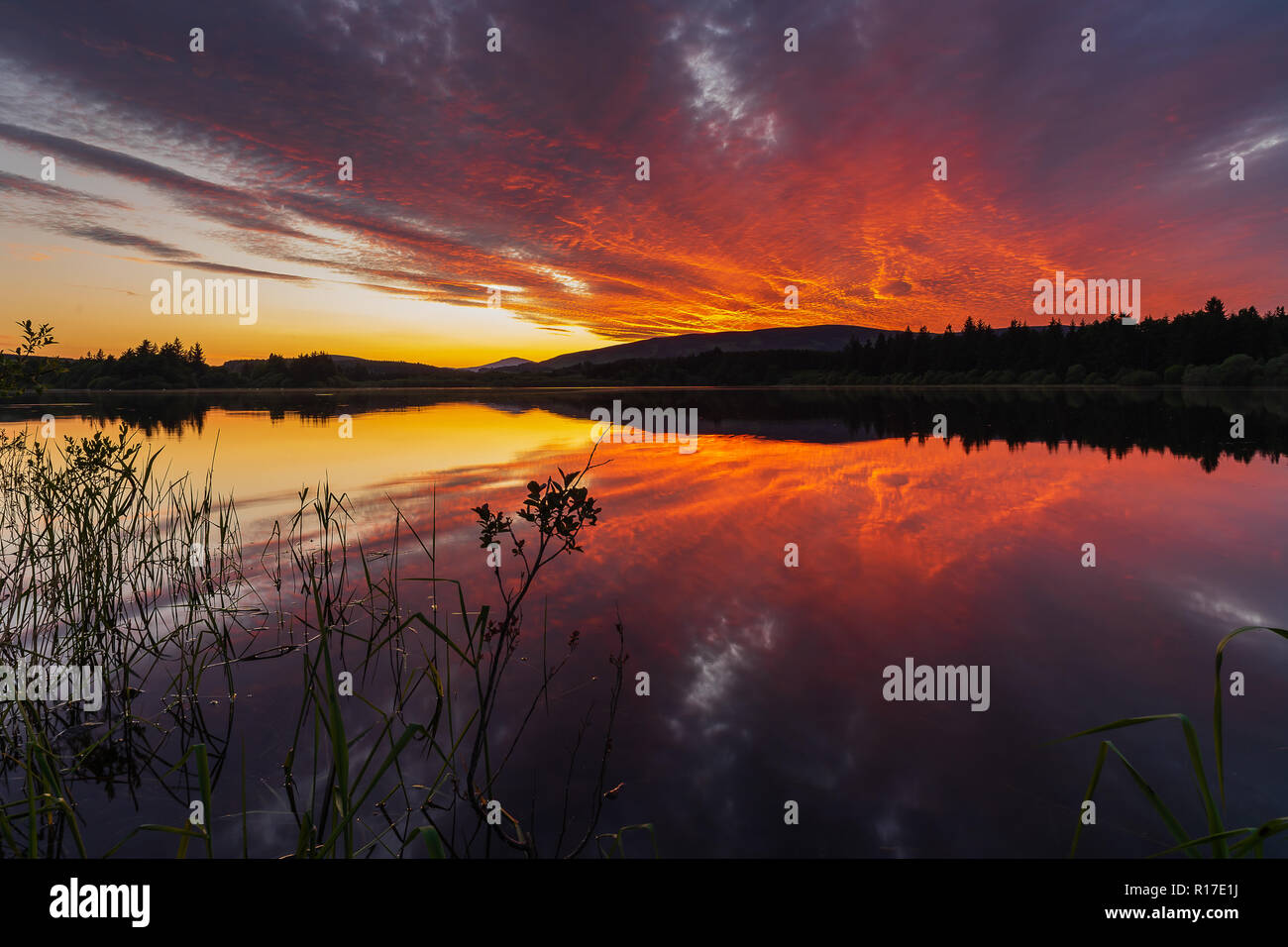 Forfar angus scotland uk hi-res stock photography and images - Alamy