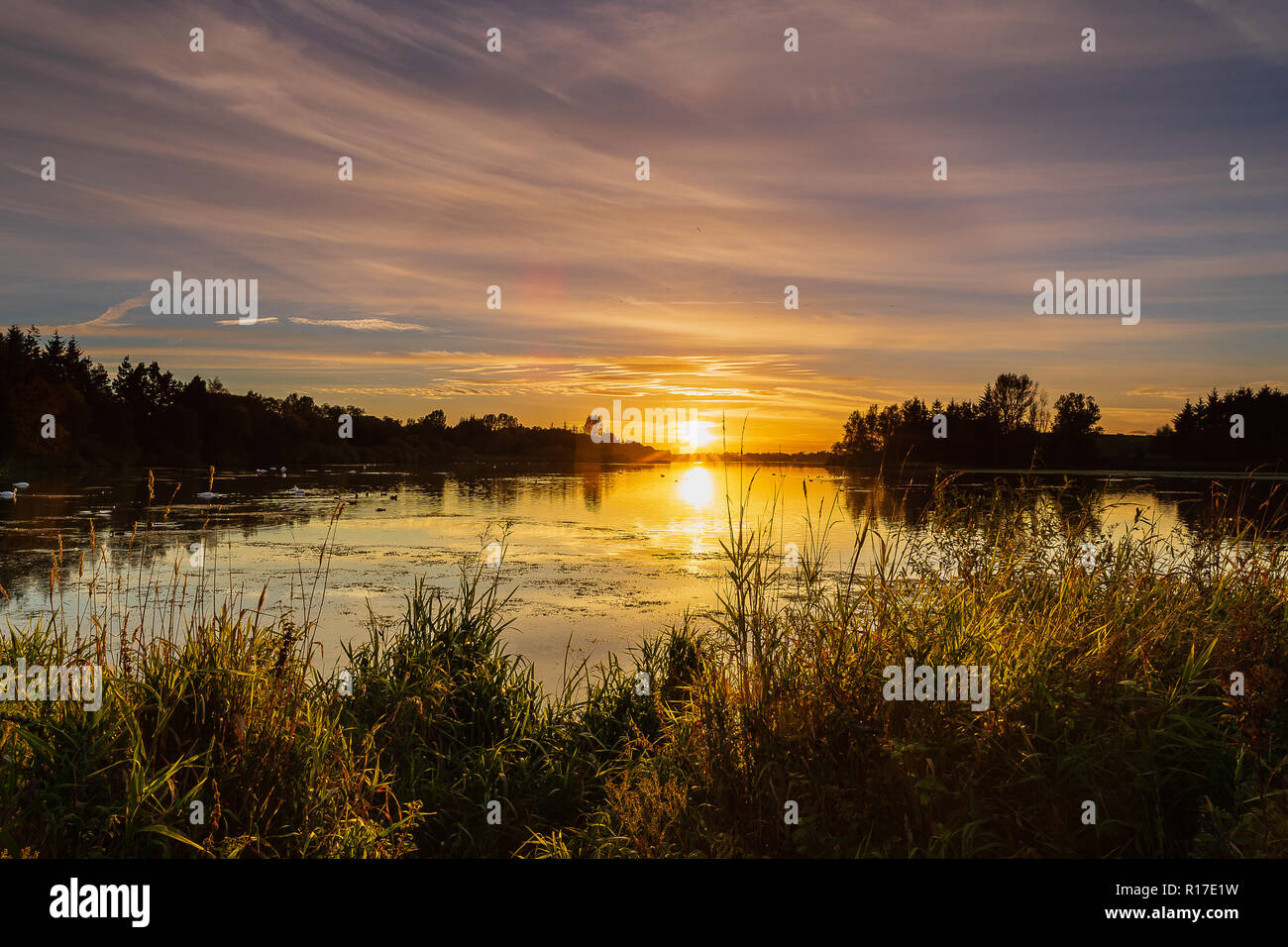 Explore dundee hi-res stock photography and images - Alamy