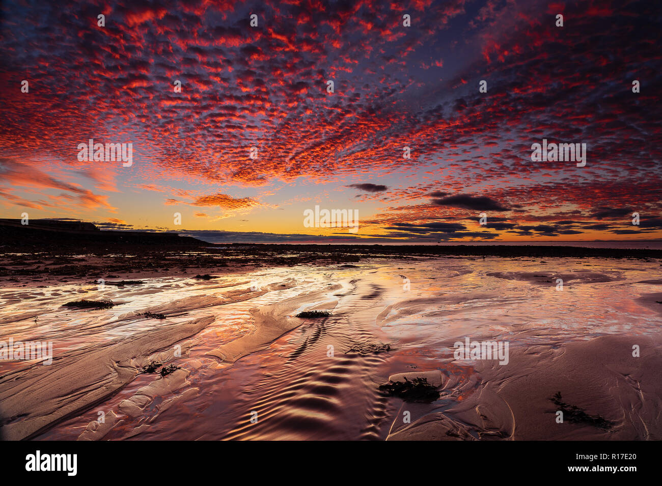 Arbroath west links beach hi-res stock photography and images - Alamy