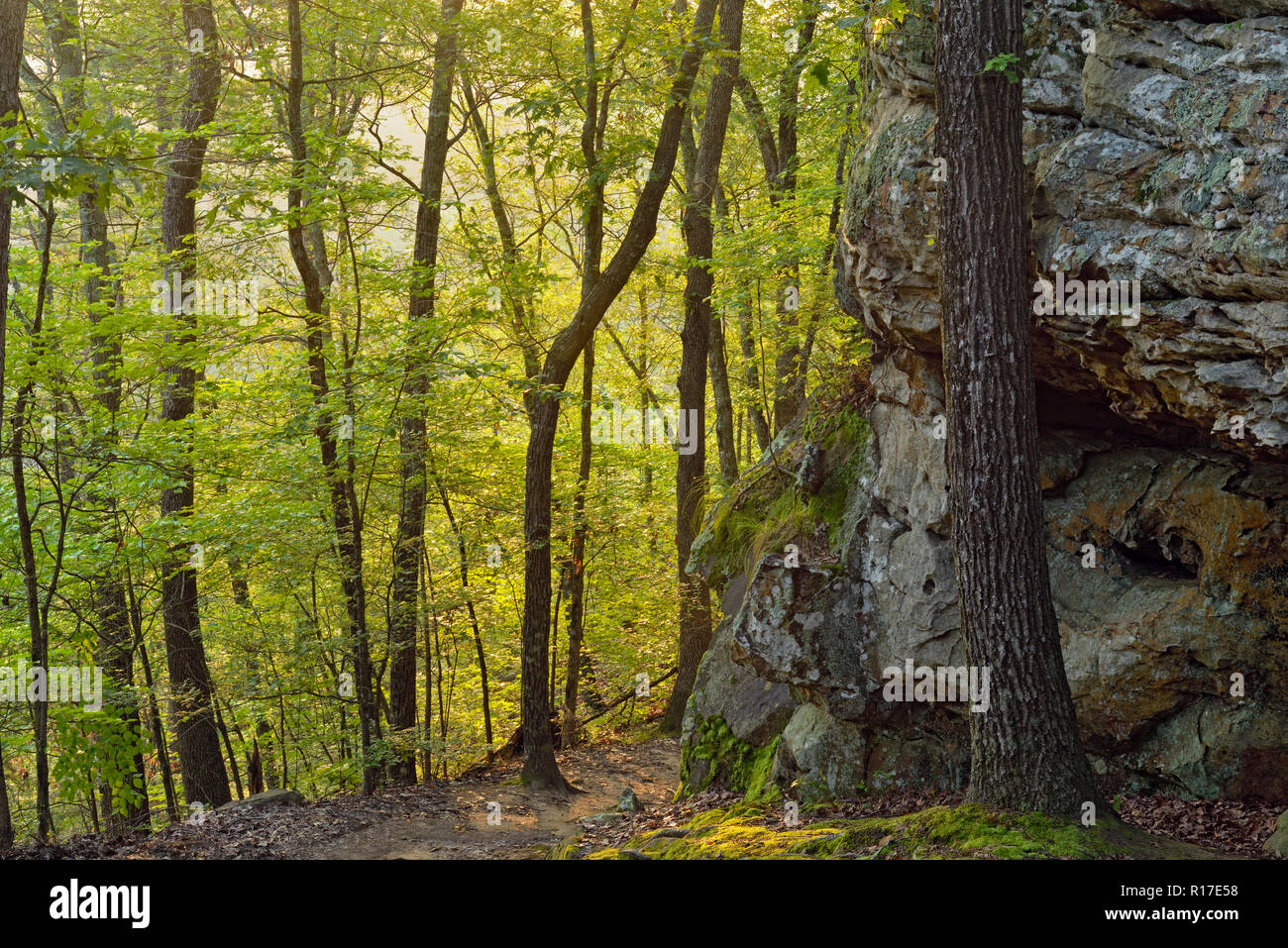 Sandstone Rock formations on the Bear Cave Trail, Petit Jean State Park ...