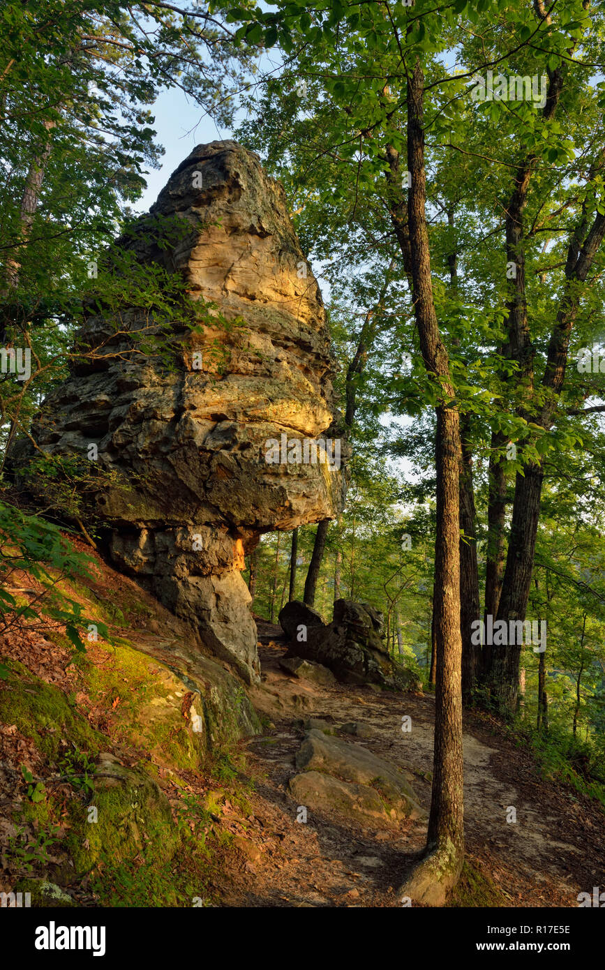 Sandstone Rock formations on the Bear Cave Trail, Petit Jean State Park ...