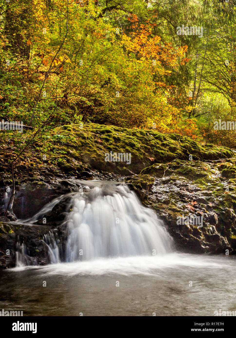 Silver river state park hi-res stock photography and images - Alamy