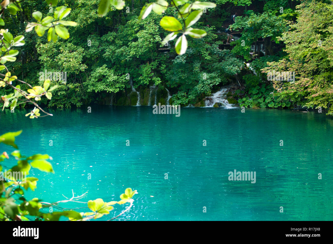 Turquoise pond hi-res stock photography and images - Alamy