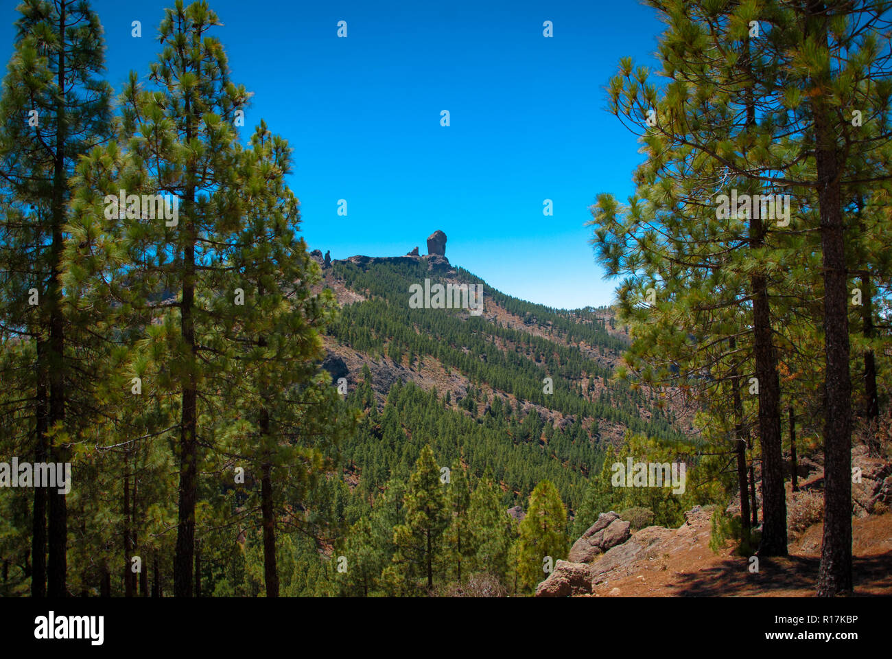 Beautiful view big rock hi-res stock photography and images - Alamy