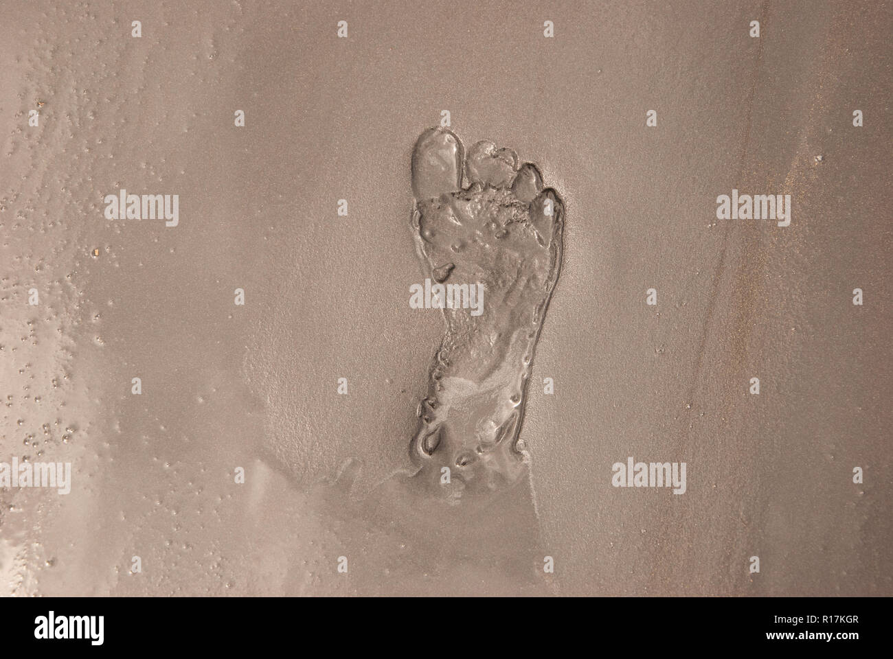 One wet foot hi-res stock photography and images - Alamy