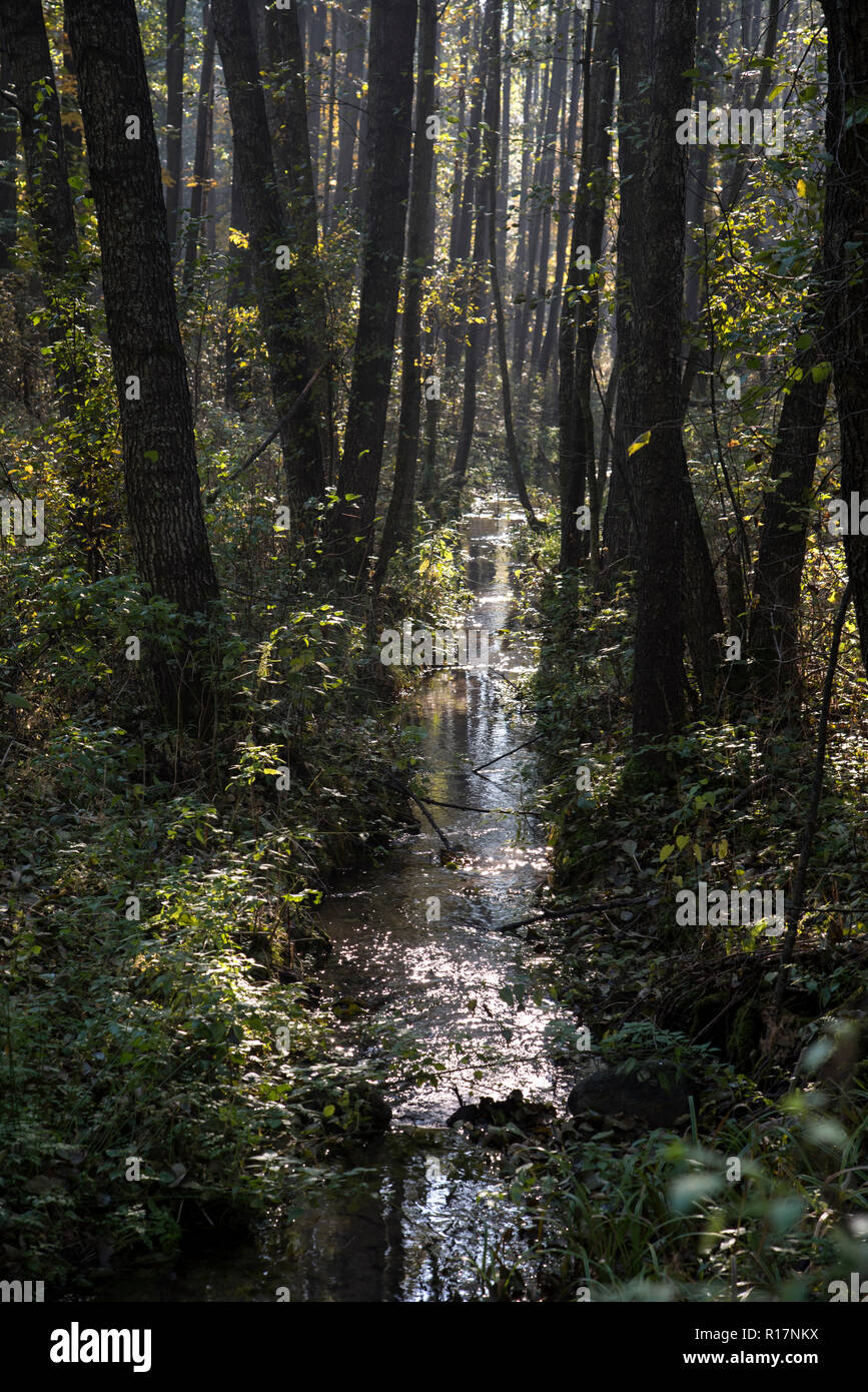 Falling brook hi-res stock photography and images - Alamy